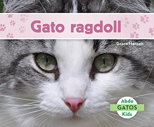 Gato Ragdoll (Ragdoll Cats) (Spanish Version) (Gatos/ Cats) (Spanish ...
