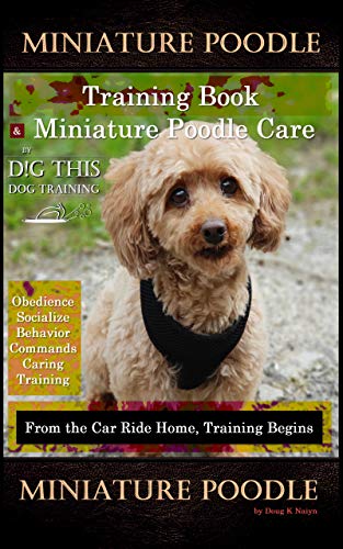 Miniature Poodle Training Book & Miniature Poodle Care By D!G THIS DOG ...