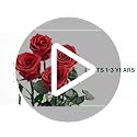 Amazon.com: EVEROSE 4 Preserved Long Stem Roses, 100% Real Roses in a ...
