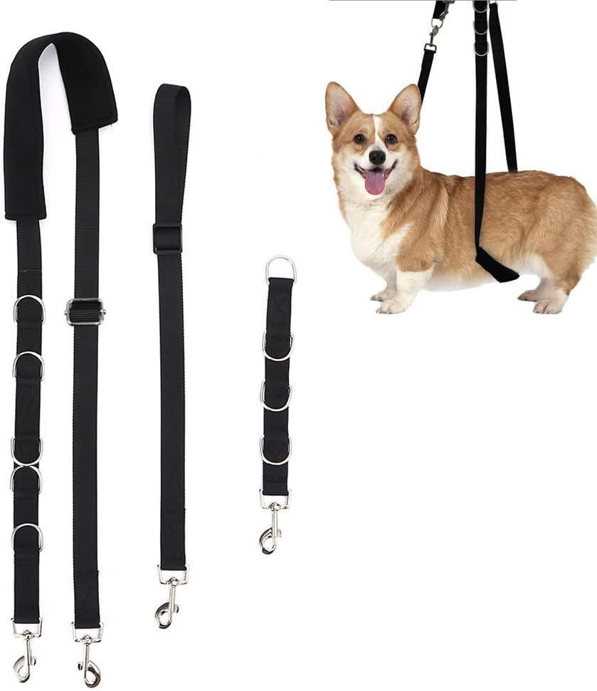 ASOCEA Adjustable Nylon Dog Grooming Belly Strap Leash Pet Bathing ...