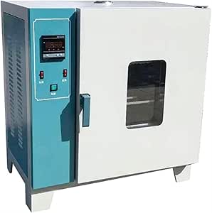 Amazon.com: Blast Drying Oven,Digital Display Constant Temperature Blast Drying Oven, Laboratory ...