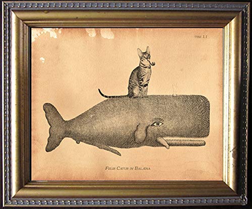 Amazon.com: Serengeti Cat Riding Whale Vintage Collage Semi-Matte Photo ...
