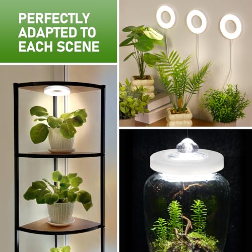 Avkast Ceiling Grow Light for Indoor Plants, 144 LEDs Full Spectrum ...