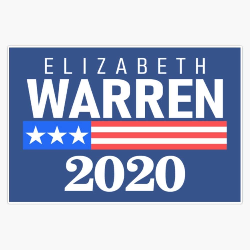 Amazon.com: TCT Trading Elizabeth Warren 2020 Vinyl Stickers Waterproof ...