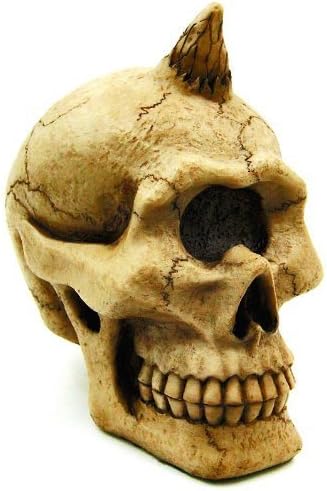 Cyclops Skull - Collectible Figurine Statue Sculpture Figure Skeleton ...