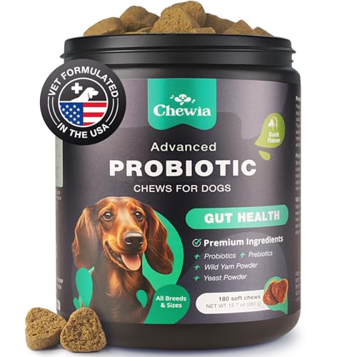 Boost Your Pet's Digestive Health with Top 10 Pet Labs Probiotic Chews ...