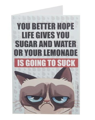 Grumpy Cat Lemonade Memes