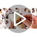Amazon.com: 50PCS Dog Stickers Cute Funny Dog Sticker for Kids Teens Adults, Icicrim Vinyl ...
