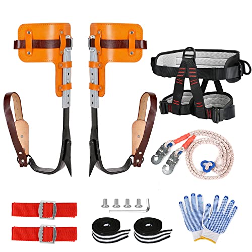 Amazon.ca Best Sellers: The most popular items in Climbing Hardware