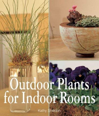 Outdoor Plants for Indoor Rooms: Sheldon, Kathy: 9781579903893: Amazon ...