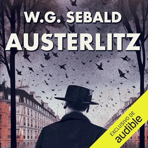 Amazon.com: Austerlitz (Audible Audio Edition): W. G. Sebald, Michael ...