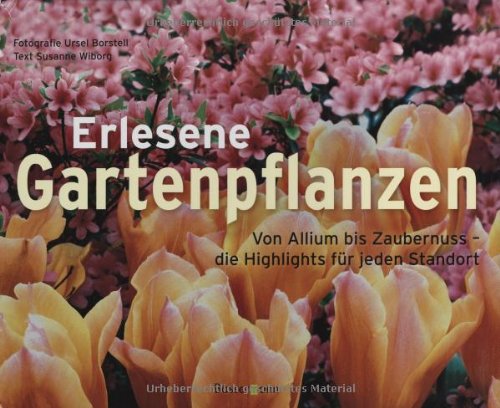 Erlesene Gartenpflanzen: Von Allium bis Zaubernuss - die Highlights für ...