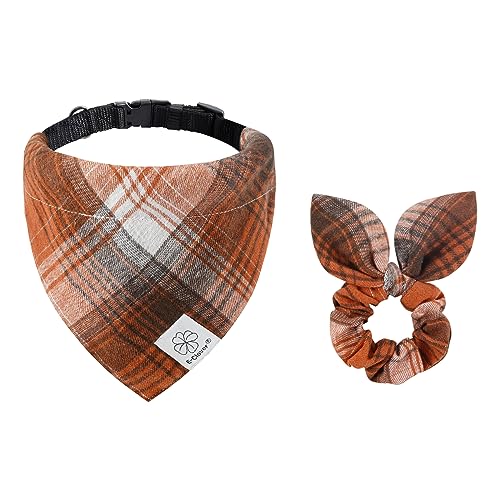 10 Best Dog Bandana Collars with Reviews and Buying Guide - Furry Folly