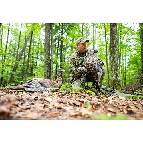 Snapklik.com : AVIAN-X LCD Jake Quarter Strut Durable Realistic ...