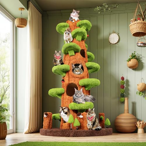 Luxury Cat Tree – The 15 best products compared - Wild Explained