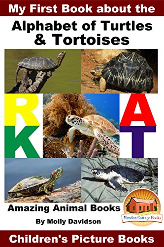 My First Book about the Alphabet of Turtles & Tortoises - Amazing ...