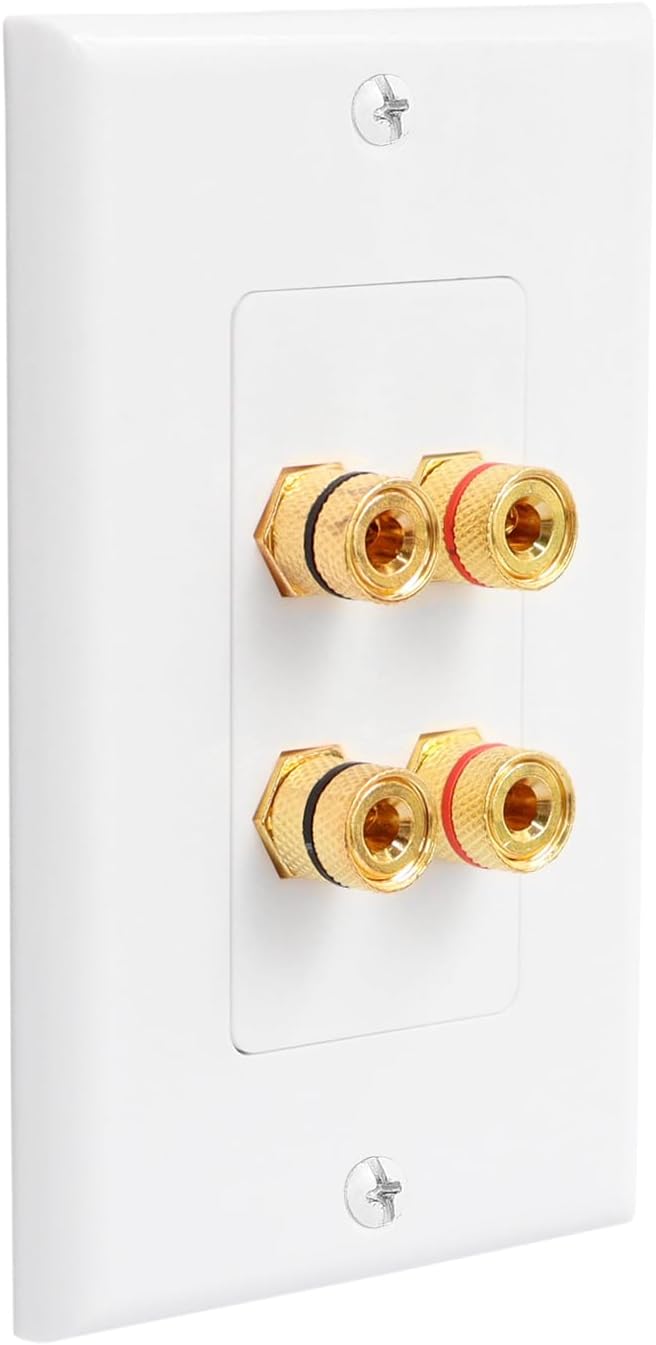 Amazon.com: Bealuffe Speaker Wall Plate Speaker Wire Wall Plate, Audio ...