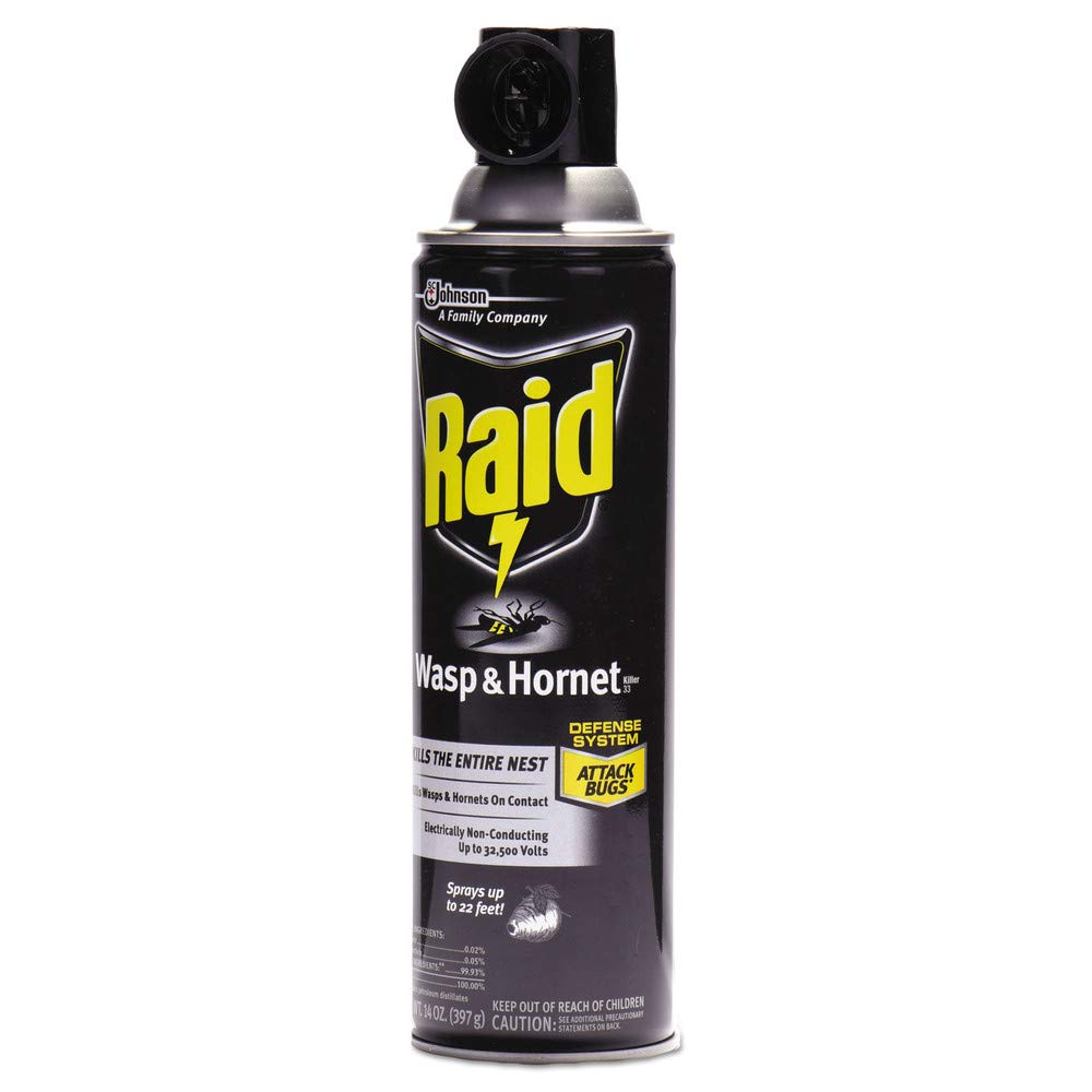 Amazon.com: Raid Wasp and Hornet Killer Spray, Kills the entire nest ...