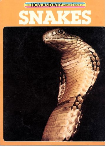 The How and Why wonder book of Snakes: 9780824150730: Amazon.com: Books