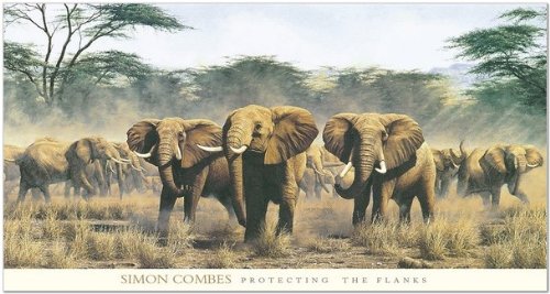 SMART ART - 'Protecting The Flanks' by Simon Combes - Fine Art Print ...