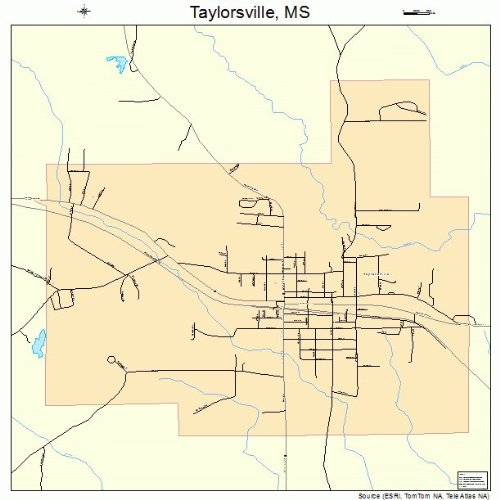 Amazon.com: Large Street & Road Map of Taylorsville, Mississippi MS ...