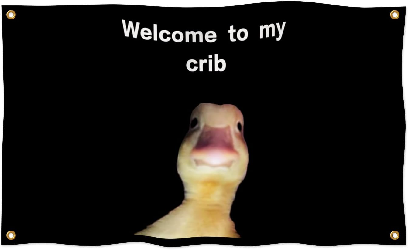 Amazon.com: Bolcagob Welcome to My Crib Flag 3x5FT Double Printed Funny ...