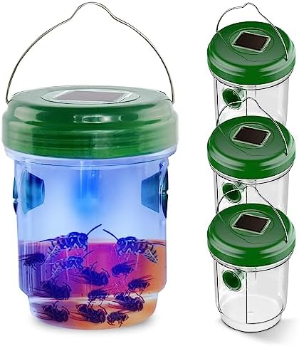 Amazon.com : X-PEST Carpenter Bee Wasp Trap 4 Packs,Solar Powered Trap ...