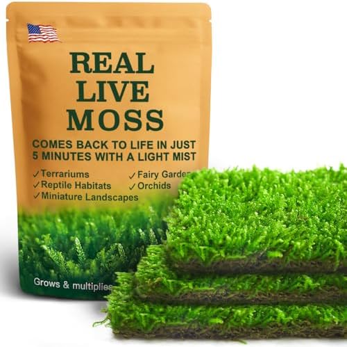 Amazon.com : Real Live Hypnum Moss (8"x8") – Natural Sheet Moss for ...