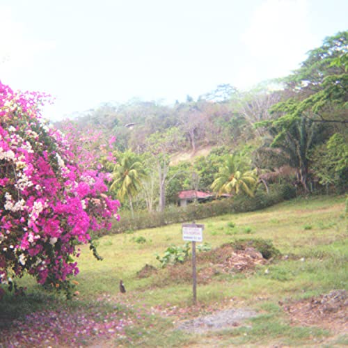 Écouter Such a Life / Smokey par Kip Nelson sur Amazon Music Unlimited