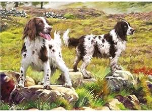 Amazon.com: Jigsaw Puzzles 500 Pieces Springer Spaniel Dog Educational ...