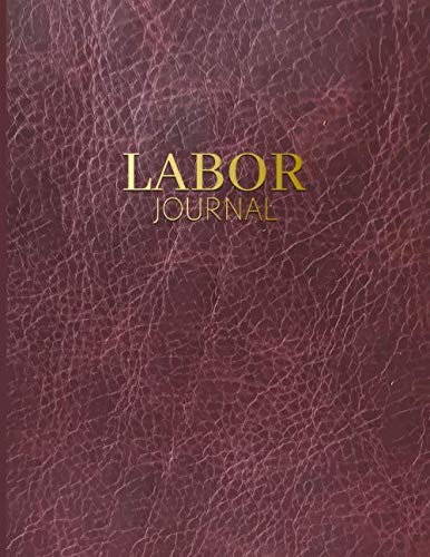 Laborjournal: Laborbuch / Labortagebuch / Labor Notizbuch für Chemiker ...