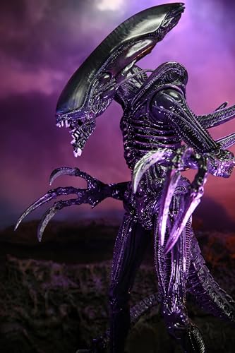 Snapklik.com : NECA Collectible Alien Vs Predator Game Movie Mashup ...