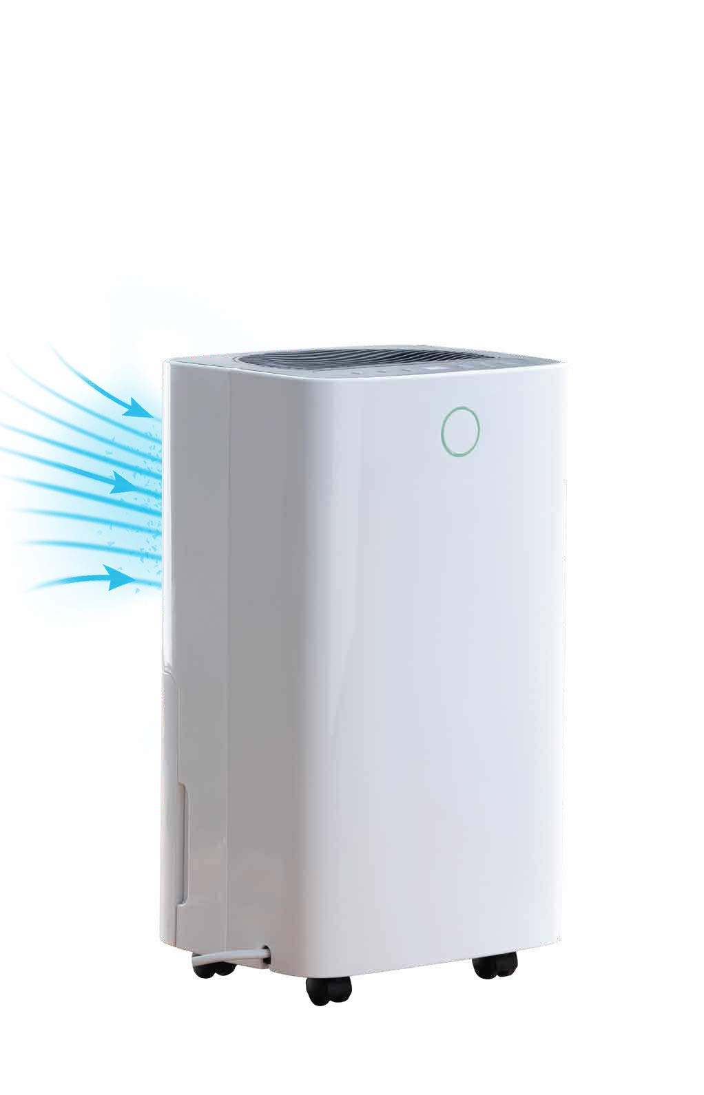 Buy Daewoo Capacity Room Dehumidifier with LED Power Indicator, 12 ...