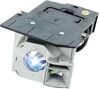 Amazon.com: JISIZKY BL-FS300B SP.83C01G001 Replacement Lamp Bulb with ...