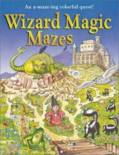 Wizard Magic Mazes: 9781402706875: Amazon.com: Books