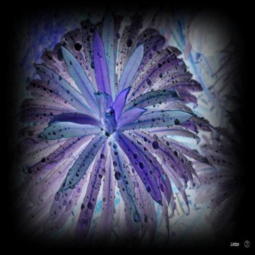 Play Seven by Letza on Amazon Music