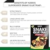 Amazon.com : 4 Pack 10" x 16" Large Snake Glue Traps with Enhanced ...