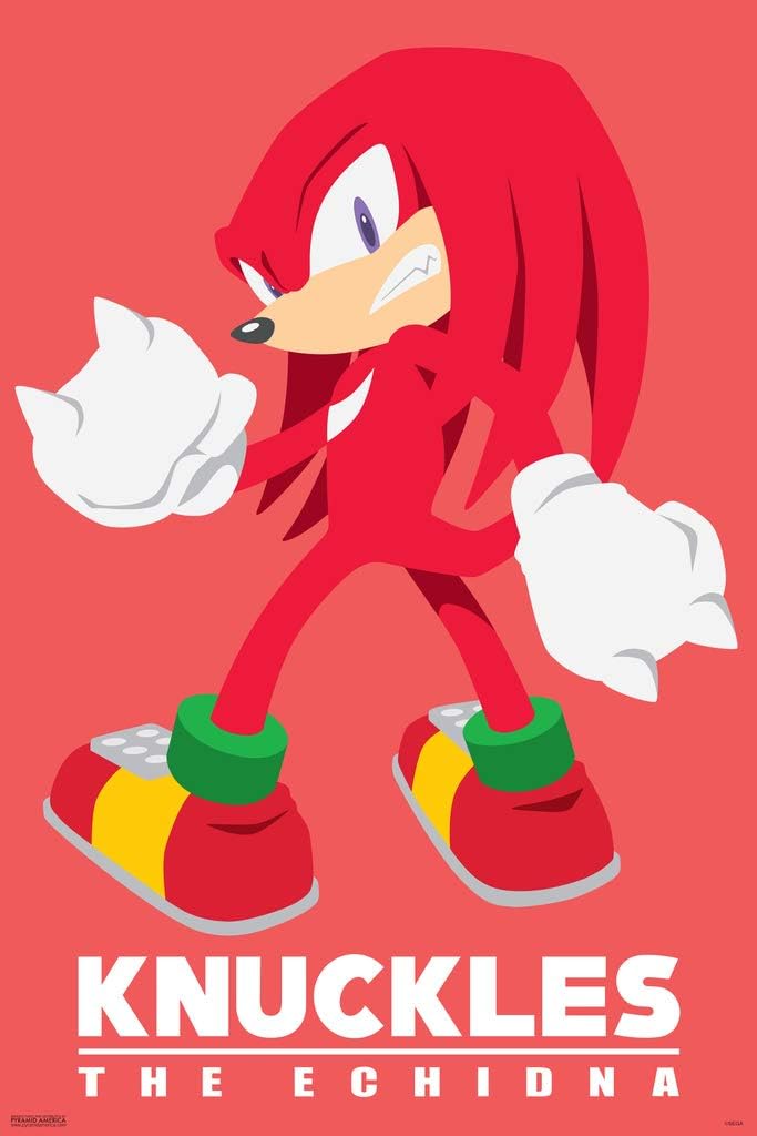 Amazon.com: Sonic the Hedgehog knuckles Sega Video Game Gaming Cool ...