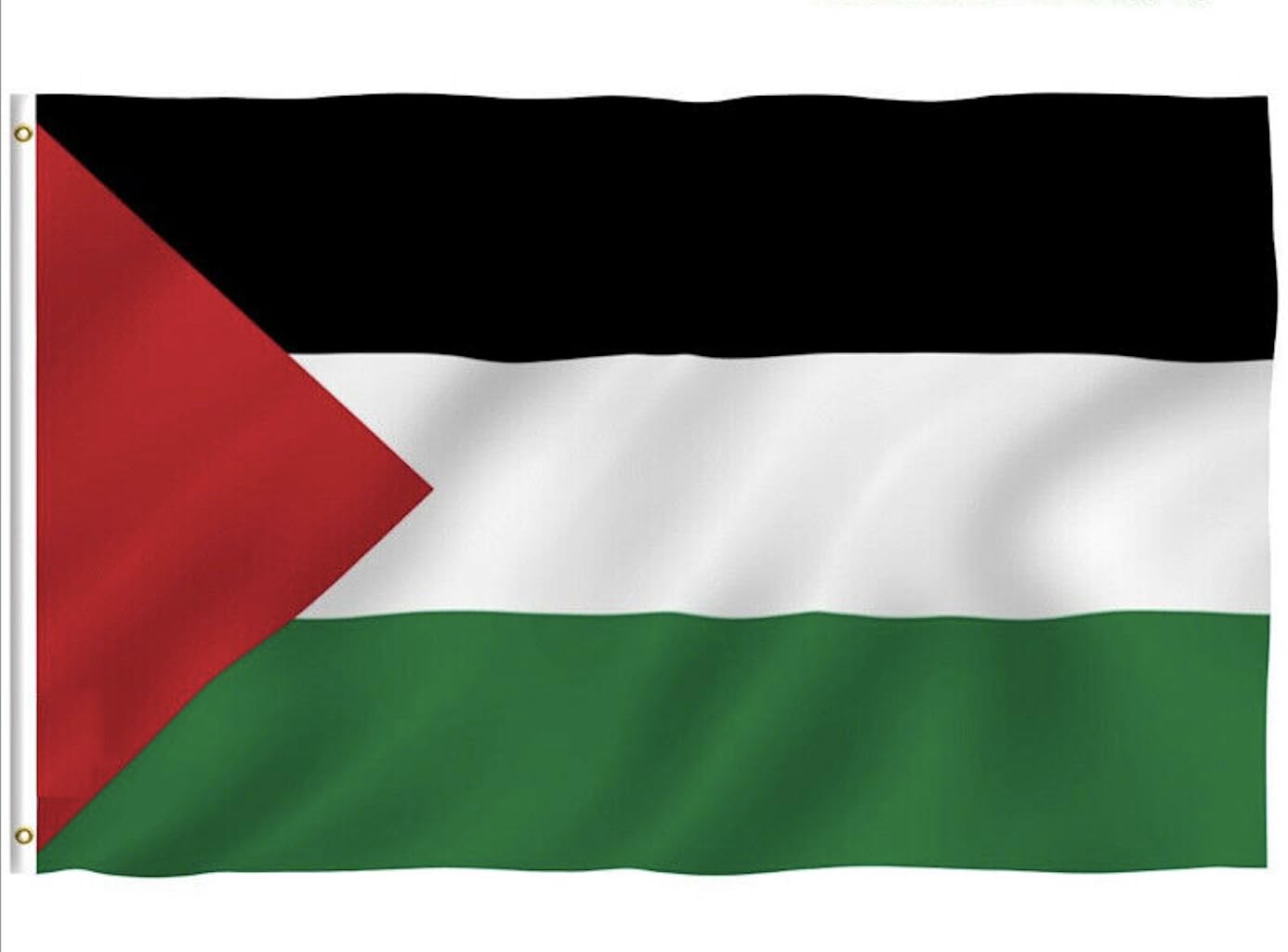 Echoluxe XXL Palestine Flag Extra Large (8FT x 5FT) National Country ...