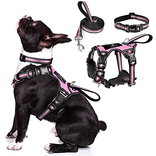 10 Best Walmart Dog Collars and Harnesses You Need to Get Your Hands On ...
