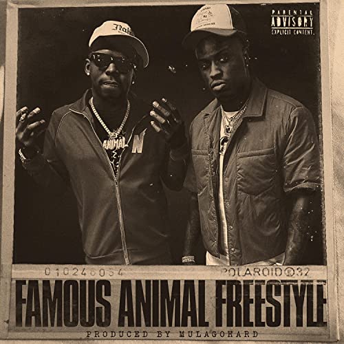 Amazon.com: famous animal freestyle [Explicit] : Dame Debiase: Música ...