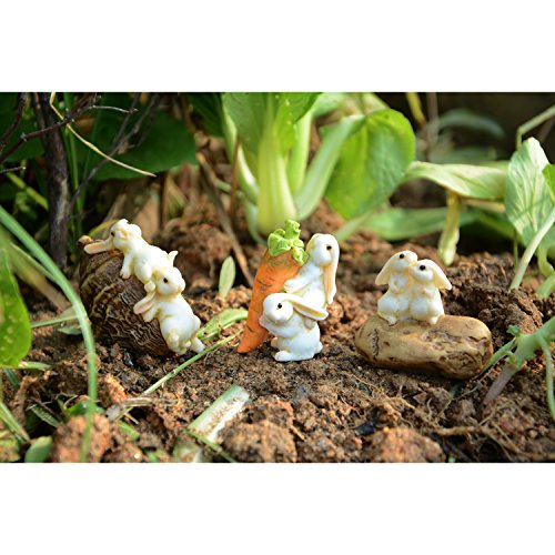 Snapklik.com : Top Collection Miniature Fairy Garden And Terrarium Statue