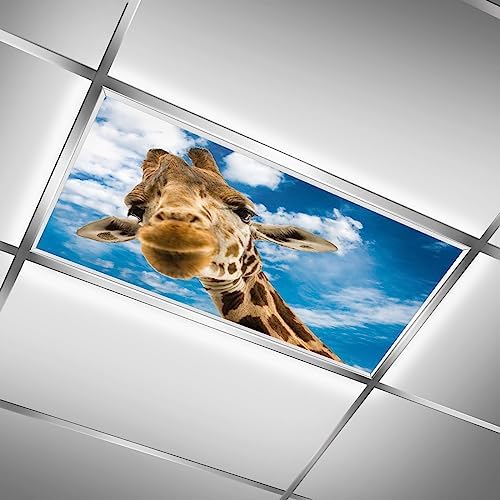 Tratloilx Fluorescent Light Covers for Classrooms & Offices-Improves ...