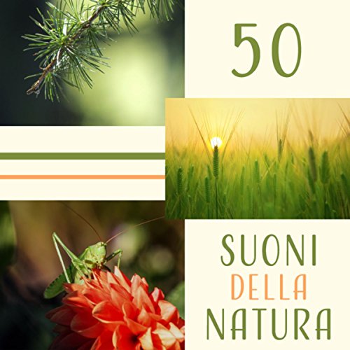 Amazon.com: 50 Suoni della natura (Zen musica rilassante - Tempo di ...