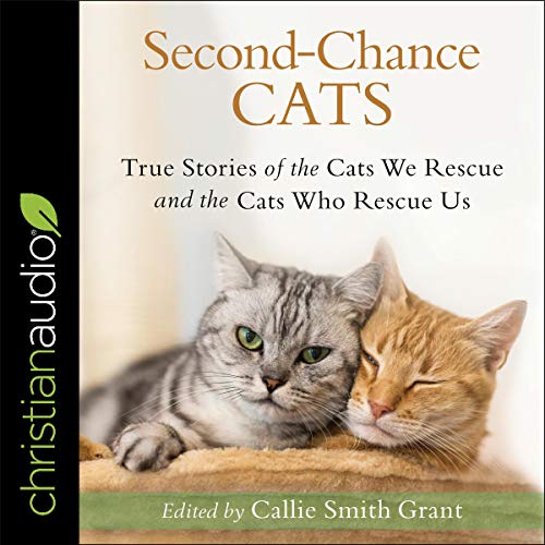 Amazon.com: Second-Chance Cats: True Stories of the Cats We Rescue and ...