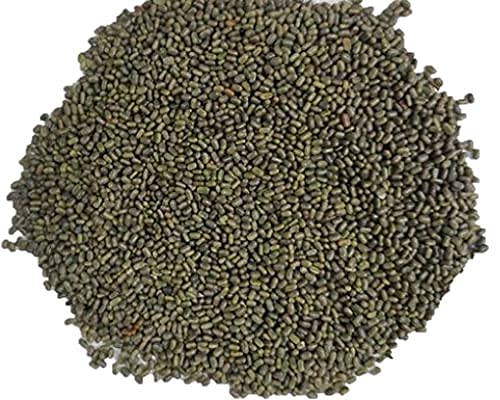 Numinous Dhaincha/Prickly Sesban/Sesbania Bispinosa/Sesbania Aculeata ...