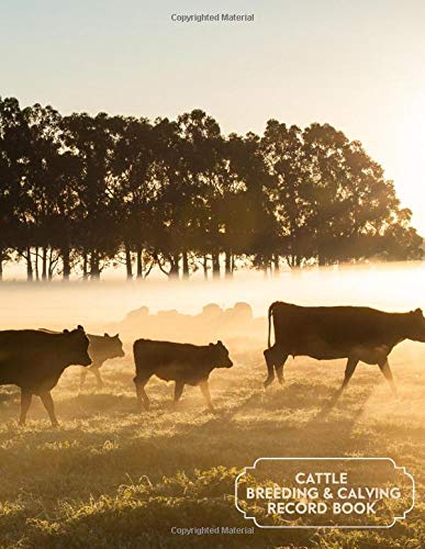 Buy Cattle Breeding & Calving Record Book: Calving Record Book, Cattle ...