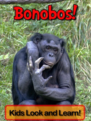 Bonobos! Learn About Bonobos and Enjoy Colorful Pictures - Look and ...