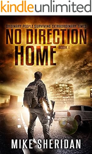 Amazon.com: Days of Panic: A Post-Apocalyptic EMP Survival Thriller (EMP Survival Series Book 1 ...