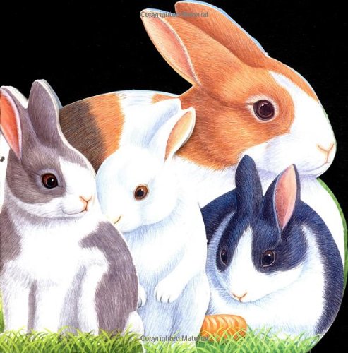 Bouncing Bunnies (Animal Babies): Emma Books Ltd, Bampton, Bob ...